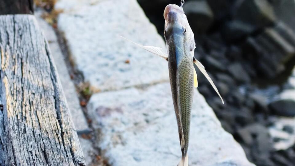 Fishing Tactics That Actually Catch More Fish - NewsBreak