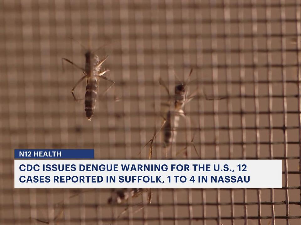 CDC issues Dengue warning: Up to 16 cases reported on Long Island