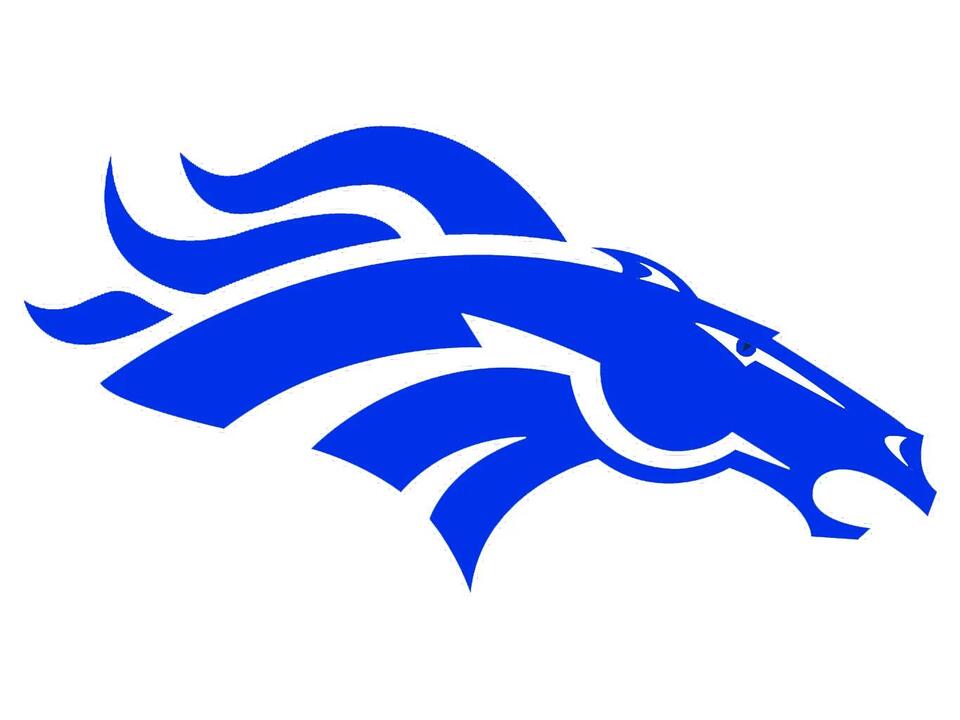 Williams-Boyd to succeed Willis as Forrest City athletic director ...