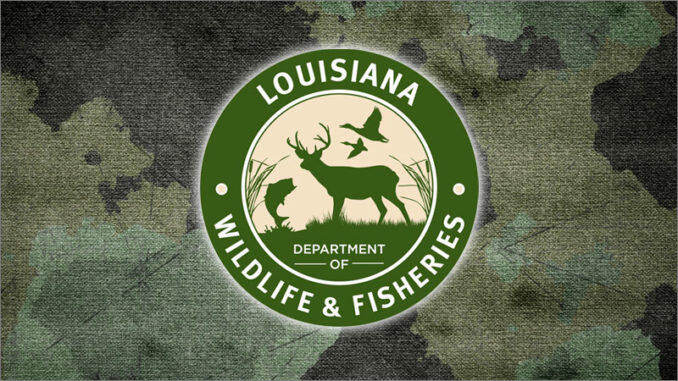 LDWF Enforcement Division extends application period for next cadet ...