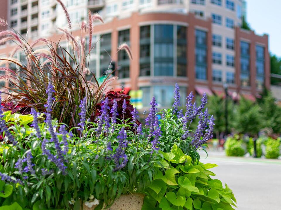 Lawsuit challenges Evanston’s first-of-its-kind reparations program