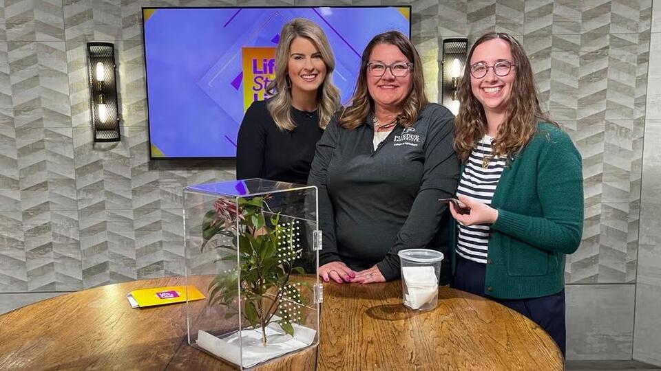 Purdue University’s Spring Fest: A day of innovation, education, and ...