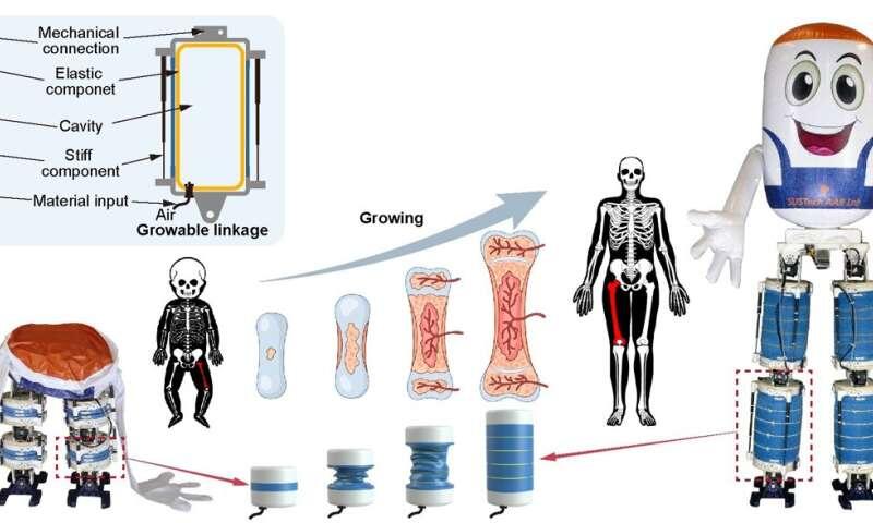 Meet the soft humanoid robot that can grow, shrink, fly and walk on ...