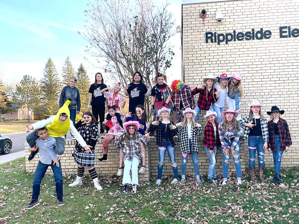 Bow Wow Meow Meow dance held to collect donations for animal rescue ...