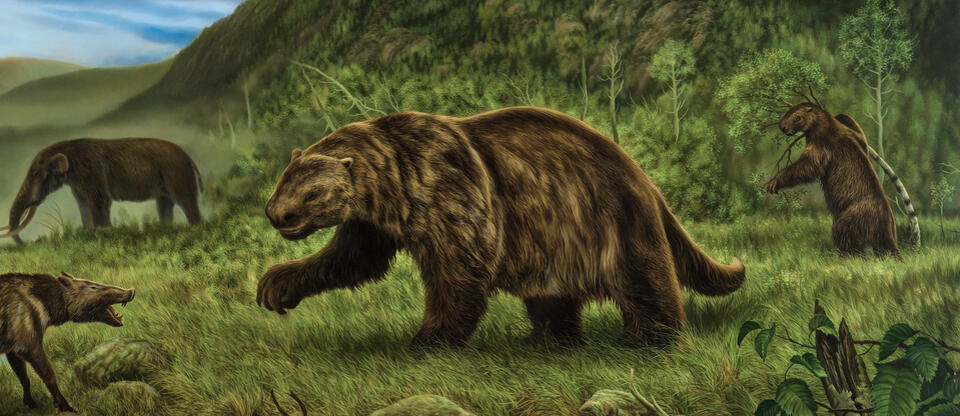 America’s Lost Giants: Uncovering the Megafauna of the Ice Age - NewsBreak