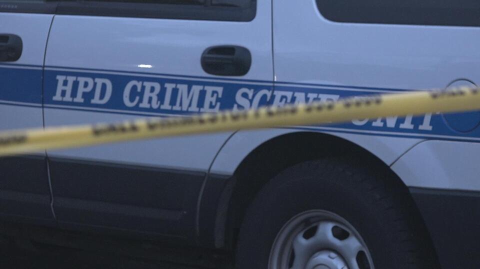 Medical Examiner confirms remains found at Ehukai Beach not human ...