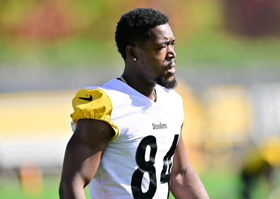 Panthers Land Ex-Steelers Wide Receiver - NewsBreak