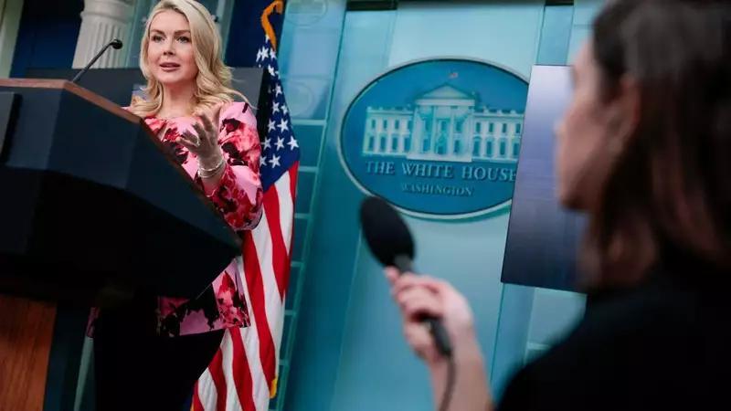 Karoline Leavitt excoriated by analyst after 'massive dump of lies ...