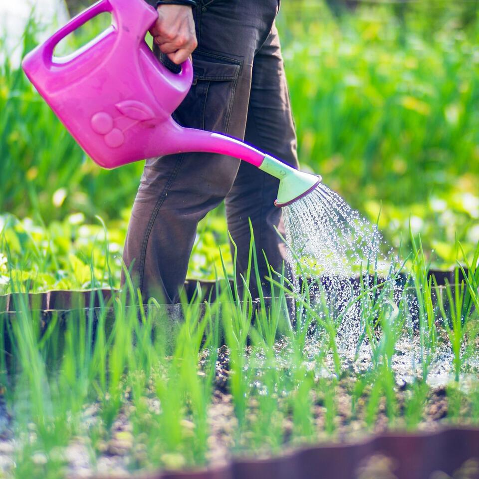 This Easy DIY Trick Will Halve the Time You Spend Watering Your Garden ...