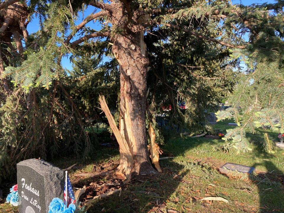 See photos of tree struck by lightning at Rapid City Cemetery - NewsBreak