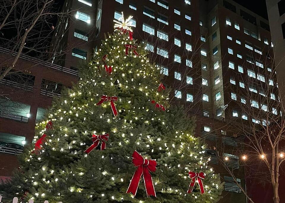 Get In The Spirit At Big Eastern Iowa Christmas Tree Lighting - NewsBreak