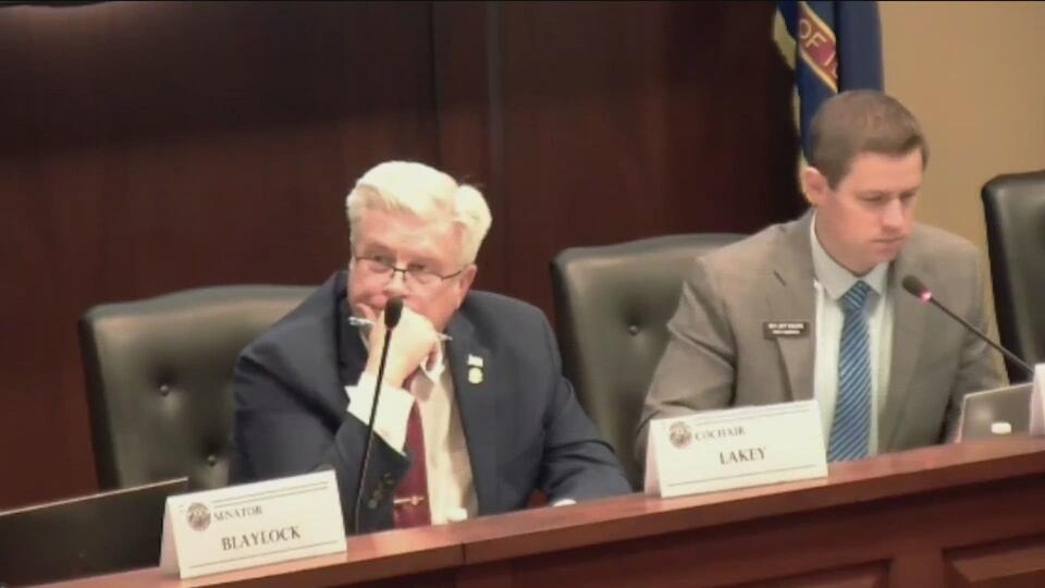 Idaho DOGE task force holds first meeting, aims to streamline state ...