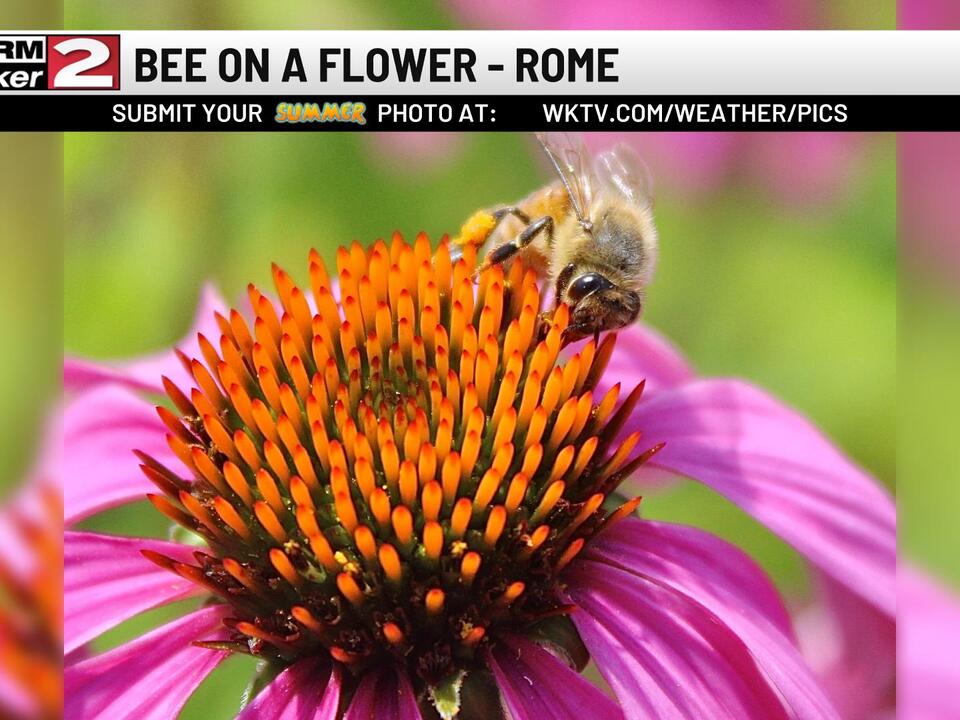WKTV Weather Photo of the Day: July 22