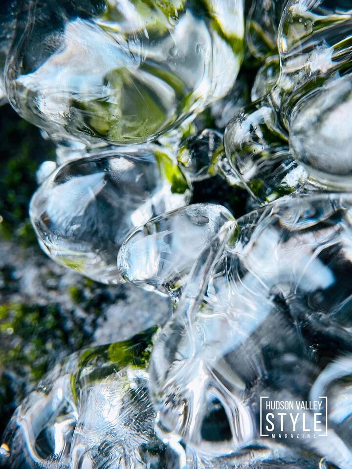 The Shape of Winter – Nature Photo Story by Maxwell Alexander - NewsBreak