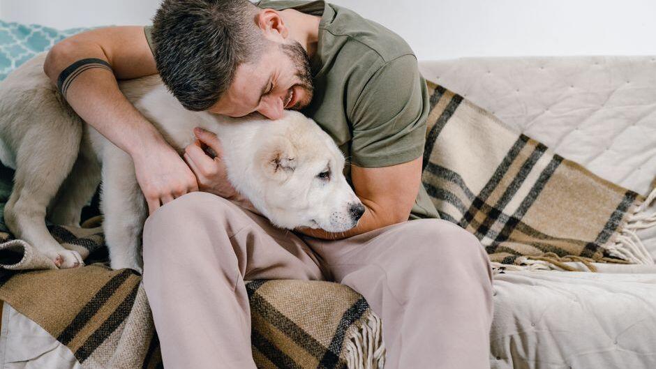 The 7 Stages Of Grief A Dog Goes Through After Losing Their Best Friend ...