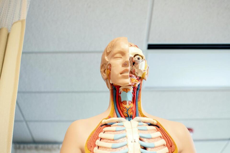 Lubbock Residents Share Their Quirkiest Daily Discomforts - NewsBreak