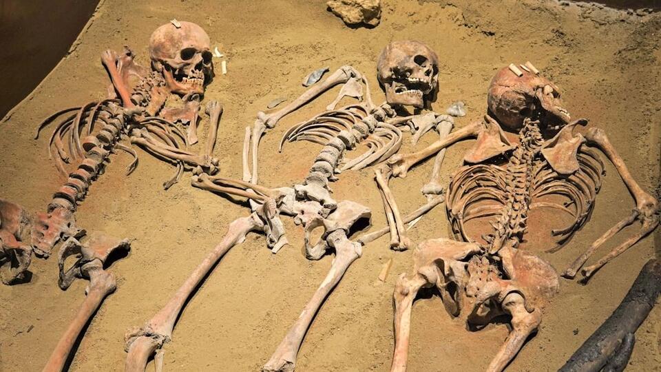 8 Ancient Human Skeletons That Rewrote History Books - NewsBreak