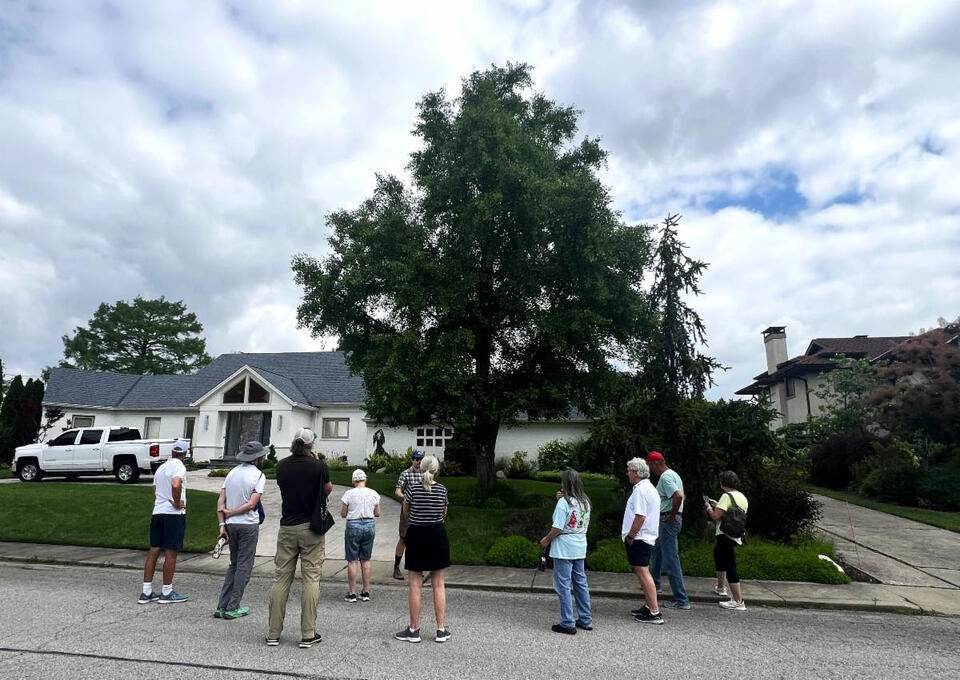 Covington Urban Forestry, Kenton Co. Extension to lead next Urban Tree ...