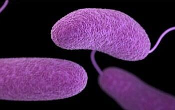 New Yorkers Face Growing Threat From Deadly Flesh-Eating Bacteria ...