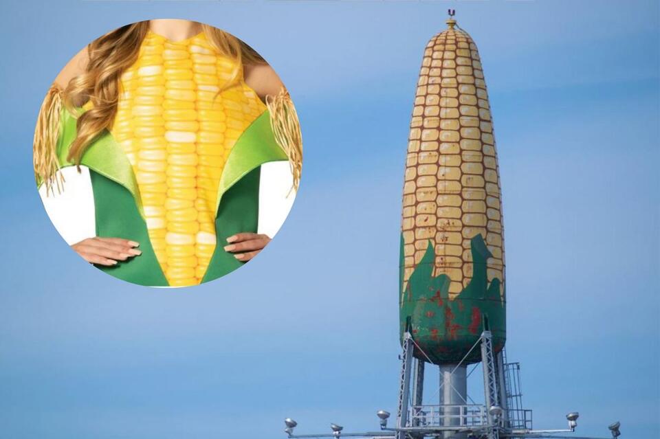 Fantastic Halloween Costume Ideas Only Rochester Locals Will Get ...