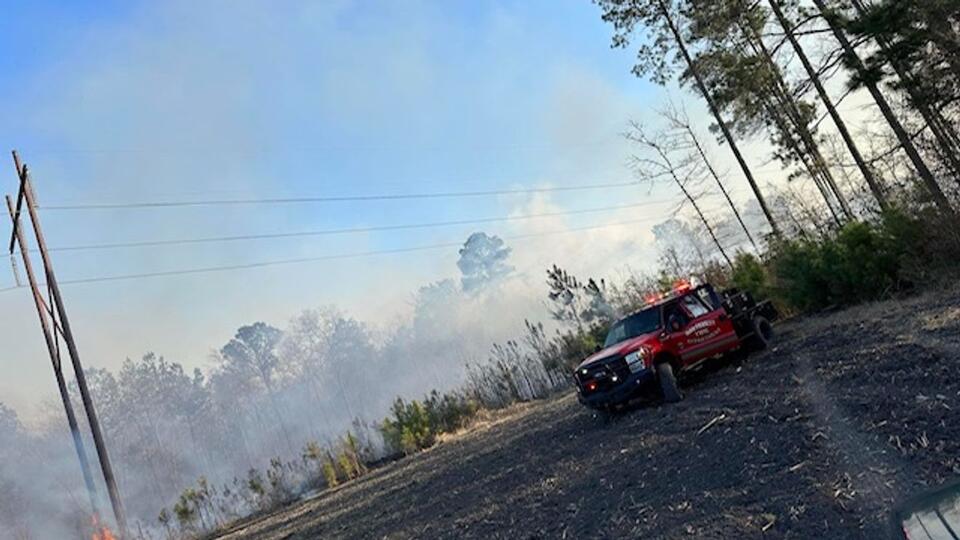77 acres burned in Darlington County woods fire - NewsBreak