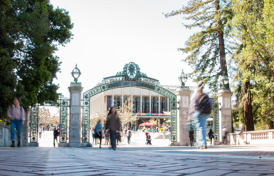 Matt Walsh, Ann Coulter: What freedom of speech means to UC Berkeley ...