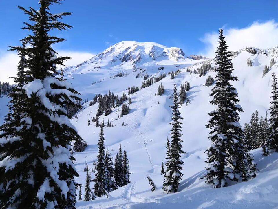 Body of Skier Missing Since May 18 Recovered at Mount Rainier National ...