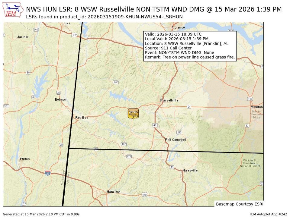 Tree on power line causes grass fire near Russellville - NewsBreak
