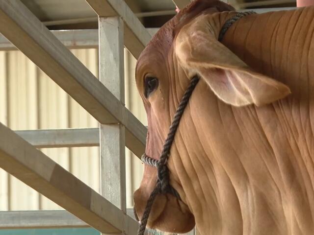 In Your Parish Headlines: August 8, 2025 - NewsBreak