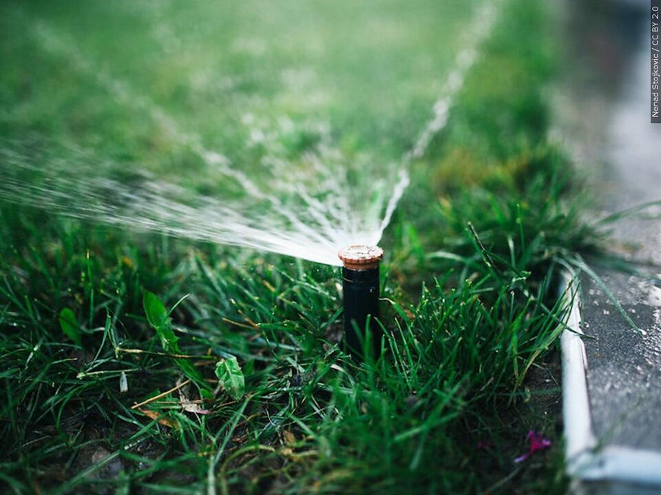 H2GO issues Stage 4 Water Conservation Alert; all irrigation prohibited