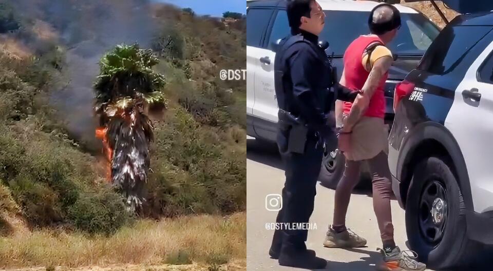 VIDEO: Fitness Influencers Nab Arsonist in Daring Takedown After He ...