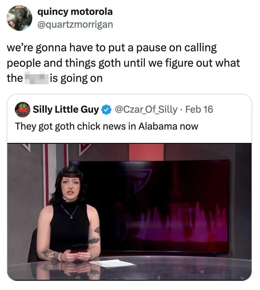 “They got goth chick news in Alabama now”: Local news anchor goes viral ...