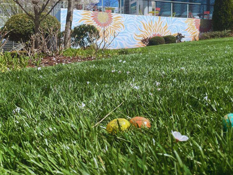 Roll into spring with these Easter egg hunts