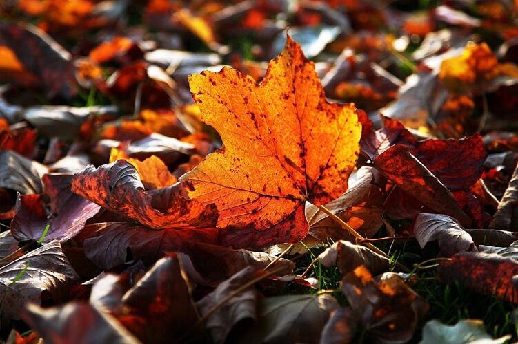 Williston Weather Forecast - NewsBreak