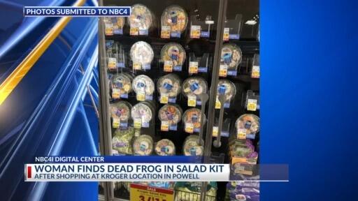 Woman finds dead frog in salad kit after shopping at Ohio Kroger ...
