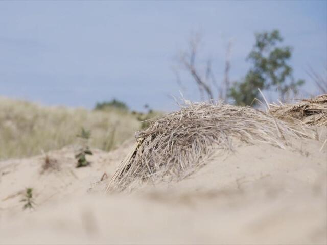 'Room for responsible development': Bills aim to protect Michigan sand ...