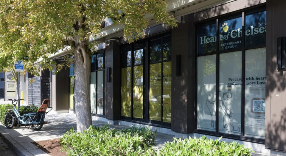 Heart of Chelsea veterinary clinic now open in Ballard - NewsBreak