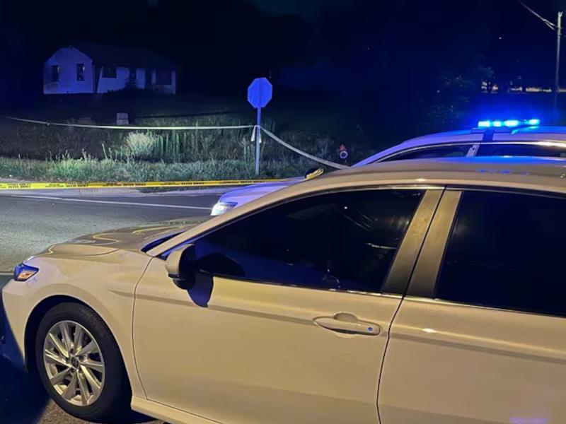 Pedestrian struck and killed in Madison