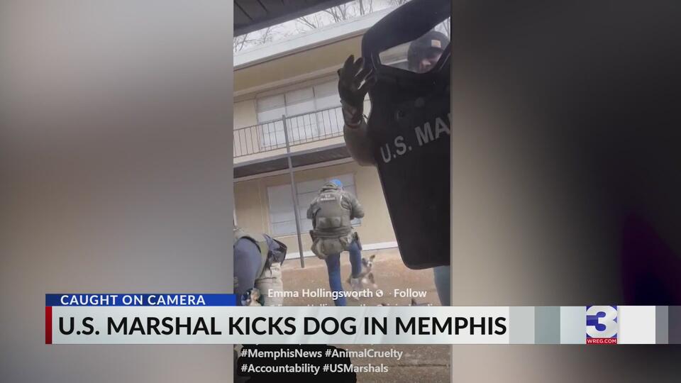 Video: US marshal kicking dog in Memphis making rounds on social media ...