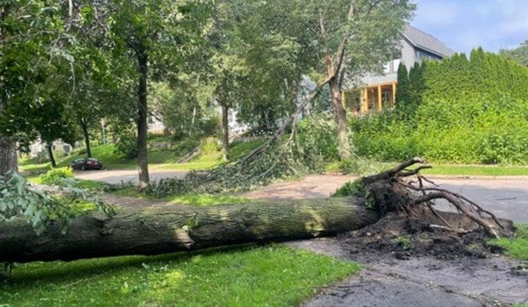 Minneapolis Reels from Storm Aftermath as Crews Tackle Downed Trees and ...