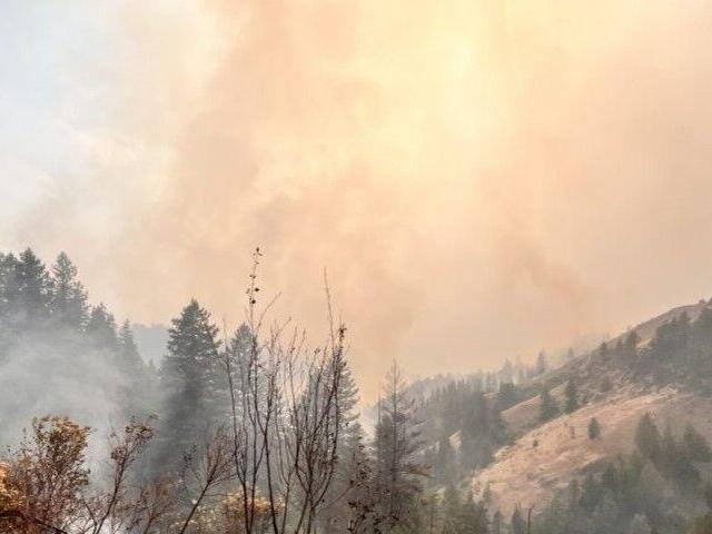 Cougar Creek Fire is 35% contained, grows to 19,089 acres