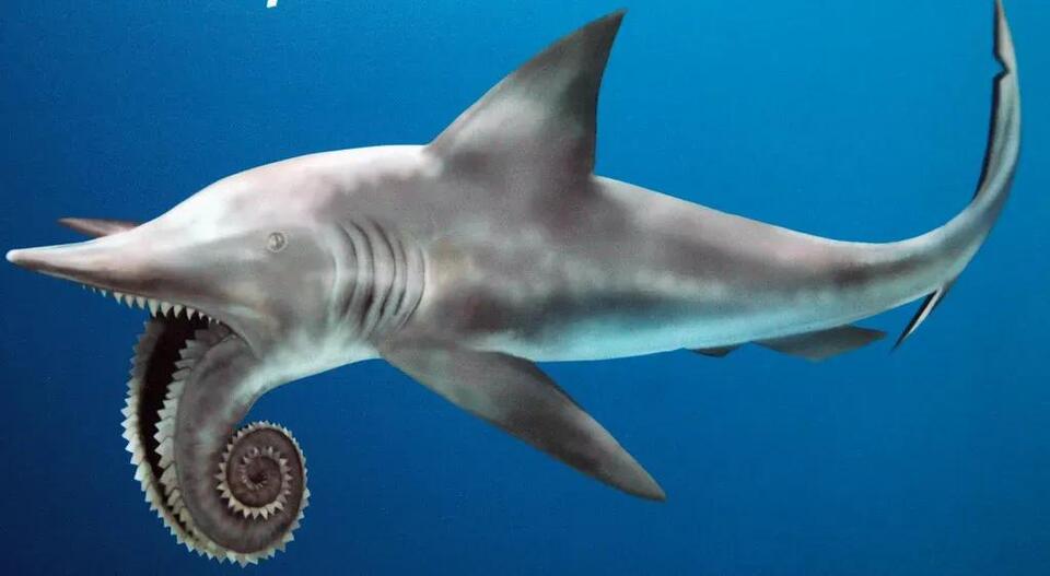 11 Prehistoric Sea Creatures That Make T-Rex Look Like a Harmless ...