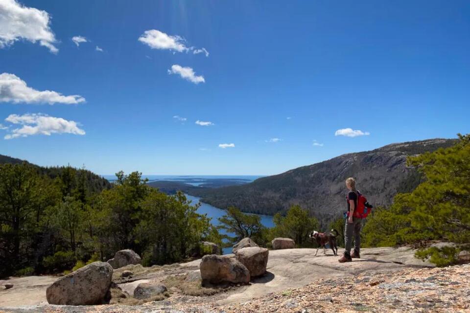 5 fascinating things you’ll see in Acadia National Park - NewsBreak