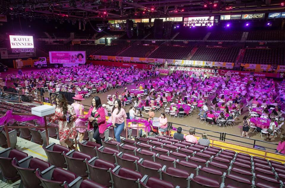 Pink on the Dirt auction raises money for mammograms at Snake River ...