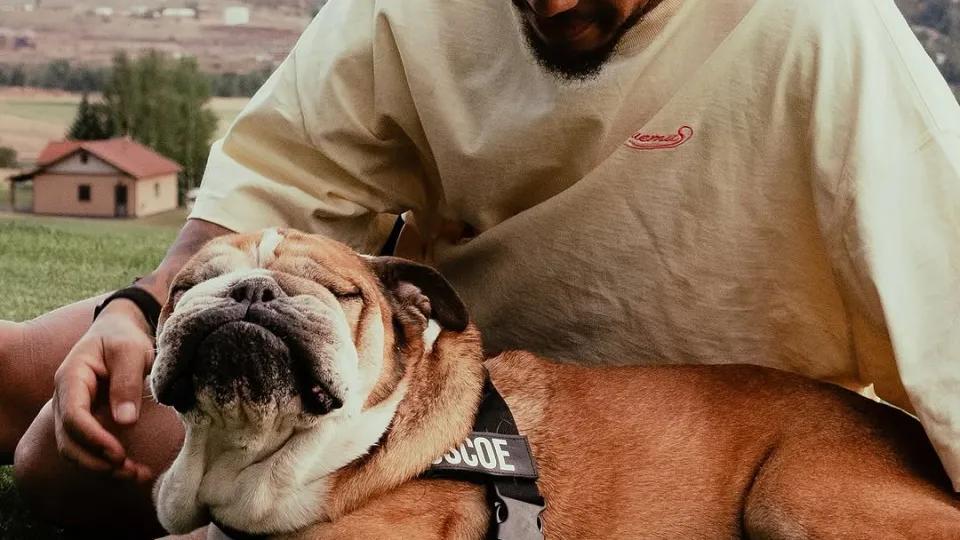 F1 Star Lewis Hamilton Mourns the Loss of His Dog - NewsBreak