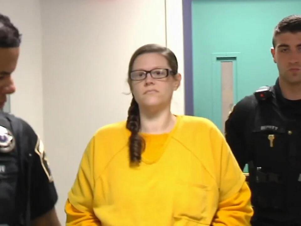 Psychiatrist says abuse, mental health issues may have left Lisa Snyder ...