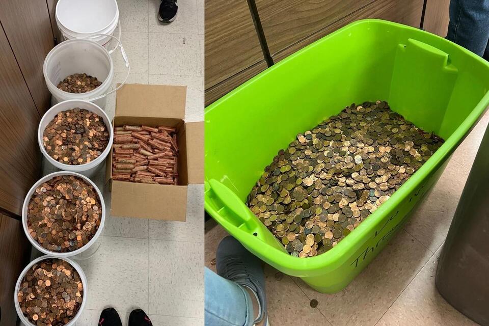 Massive Amount of Pennies Collected at New York Grocery Stores - NewsBreak