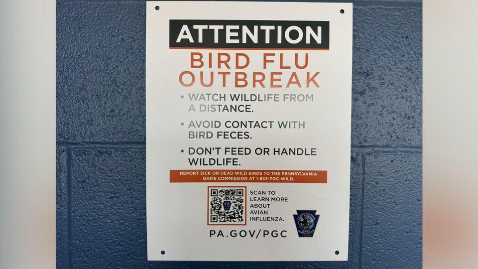 Wildlife center, destination for bird watchers, closes several areas amid avian flu concerns ...
