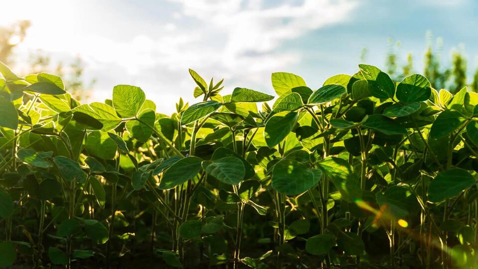 Scientists Make Incredible Discovery That Could Revolutionize