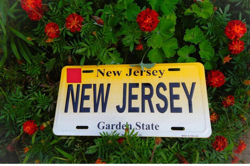 What You Need To Know About New Jersey's Red License Decals - NewsBreak